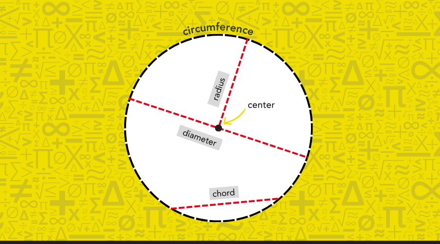 What Is a Diameter & How to Measure It? A Beginner’s Guide