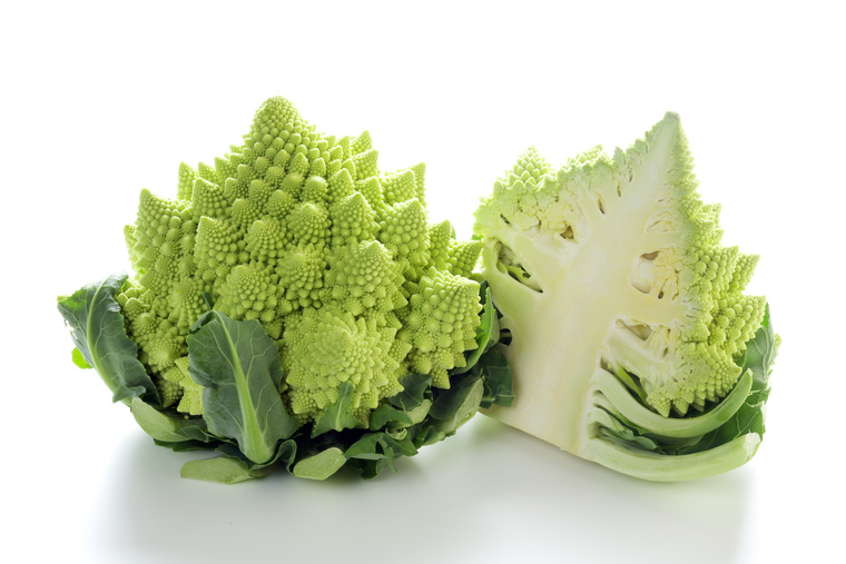 10 Fantastic Examples of Fractals in Nature