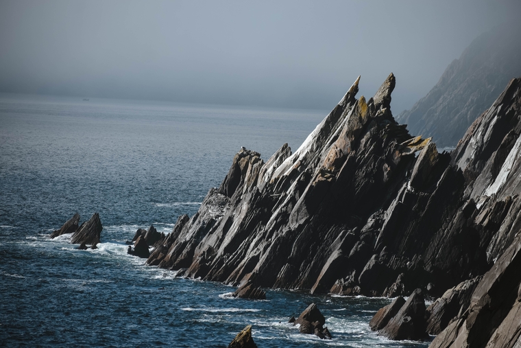 10 Fantastic Examples of Fractals in Nature