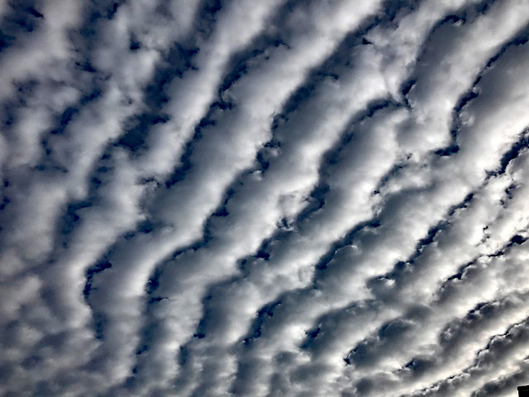 10 Fantastic Examples of Fractals in Nature