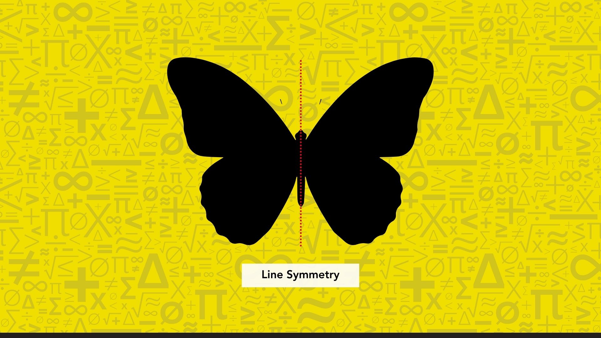 What Is Symmetry in Math? A Kid-Friendly Guide with Examples