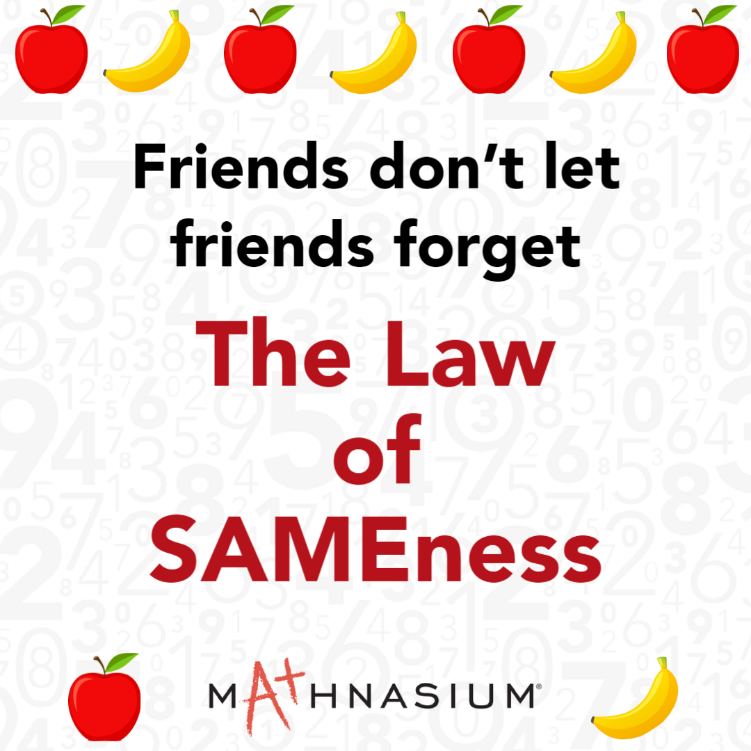 The Name Of The Game Denomination Quantity And SAMEness