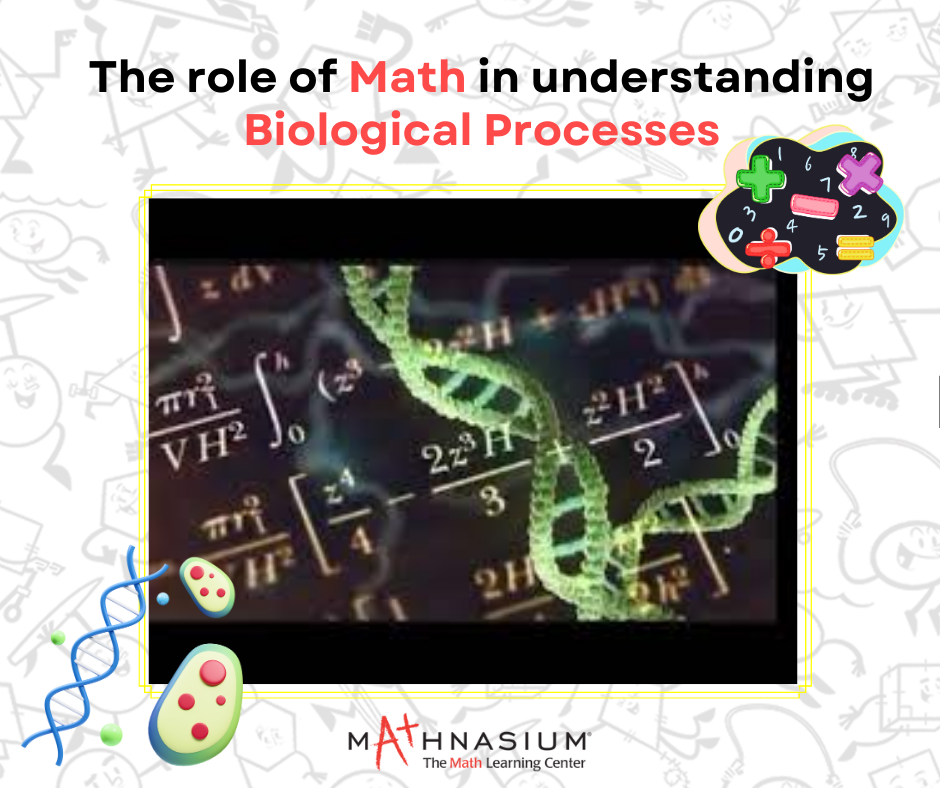 Exploring the Wonders of Math: Unveiling the Secrets of Life